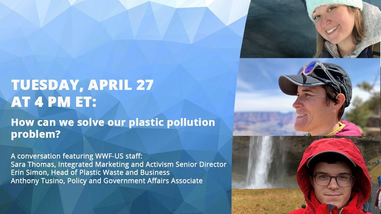 How can we solve our plastic pollution problem? - YouTube