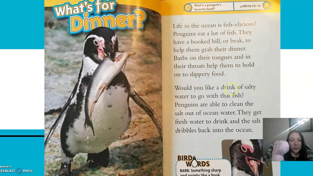 Read aloud by me of Penguins by Anne Schreiber - YouTube