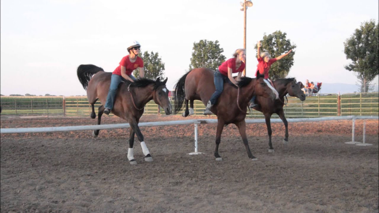 Horse Power EhCapa - YouTube