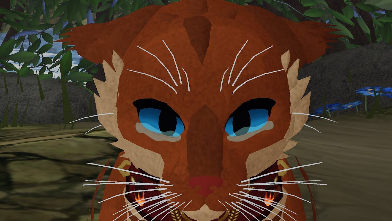 rory mv teaser - YouTube