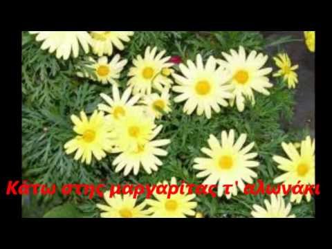 Κάτω στης μαργαρίτας τ' αλωνάκι, Ελύτης - YouTube