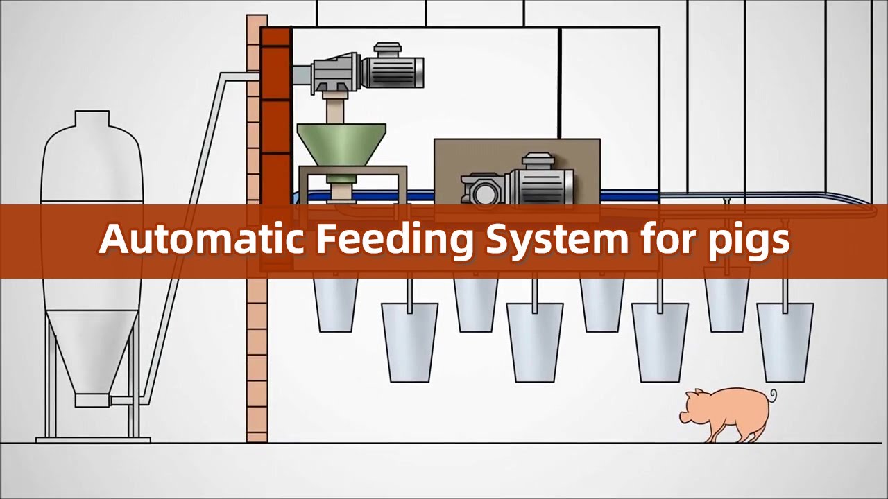 What Is Animal Feeding System at Sheila Cline blog What Is Animal Feeding System at Sheila Cline blog