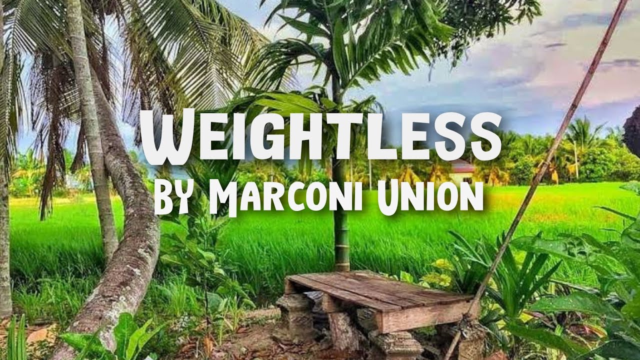 Lagu Weightless - Marconi Union - YouTube