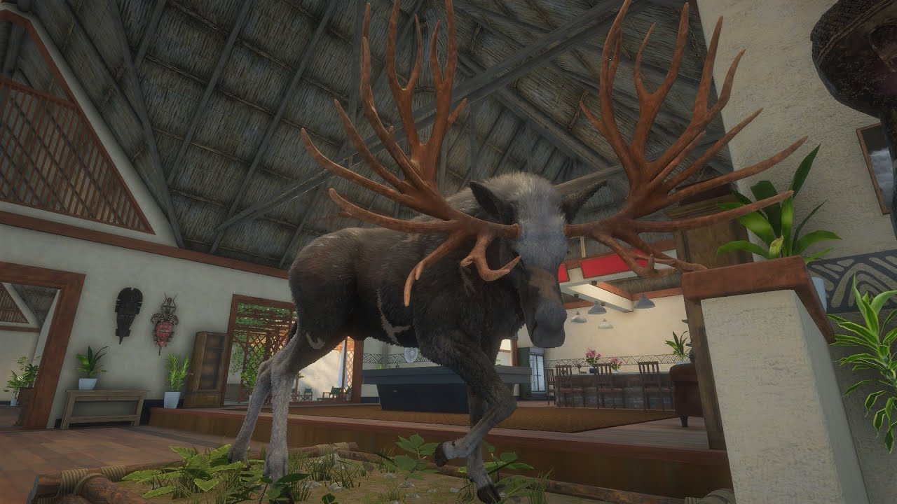 the Hunter Call of the Wild: G1 MOOSE GRIND HIGHLIGHTS - YouTube