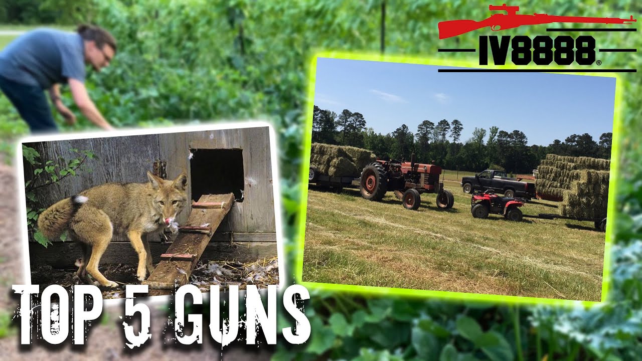 Top 5 Guns For the Modern Homesteader - YouTube
