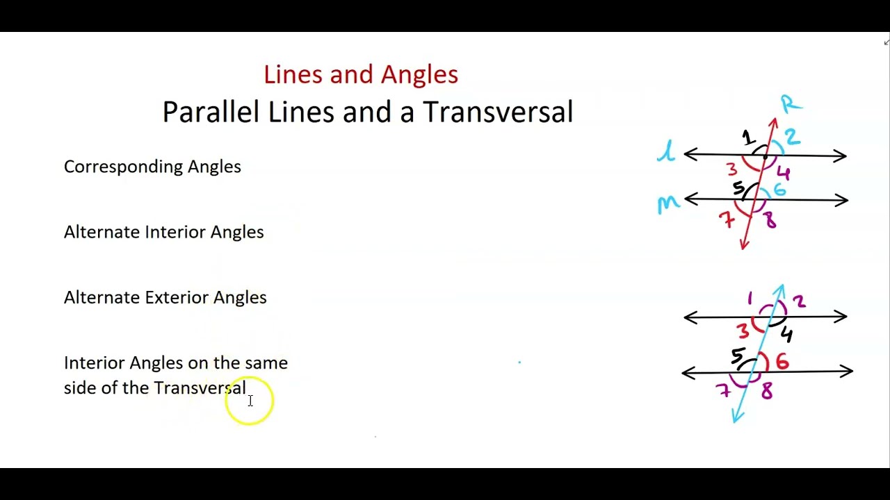 Parallel Lines and a Transversal line concept, Lines and Angles, Class ...