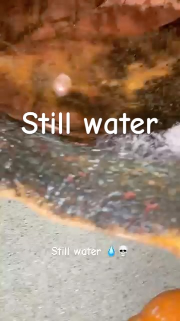 Still water 💧 💀#scary #stillwater #memes - YouTube