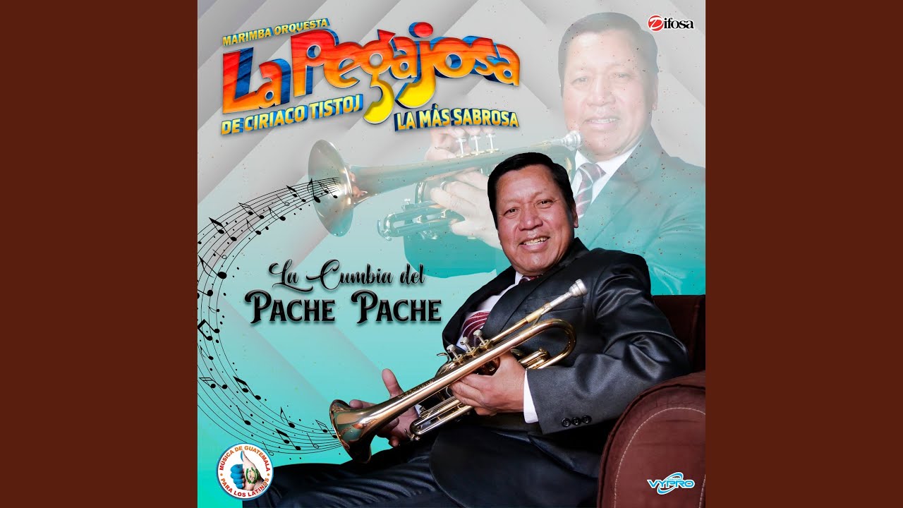 La Cumbia del Pache Pache - YouTube