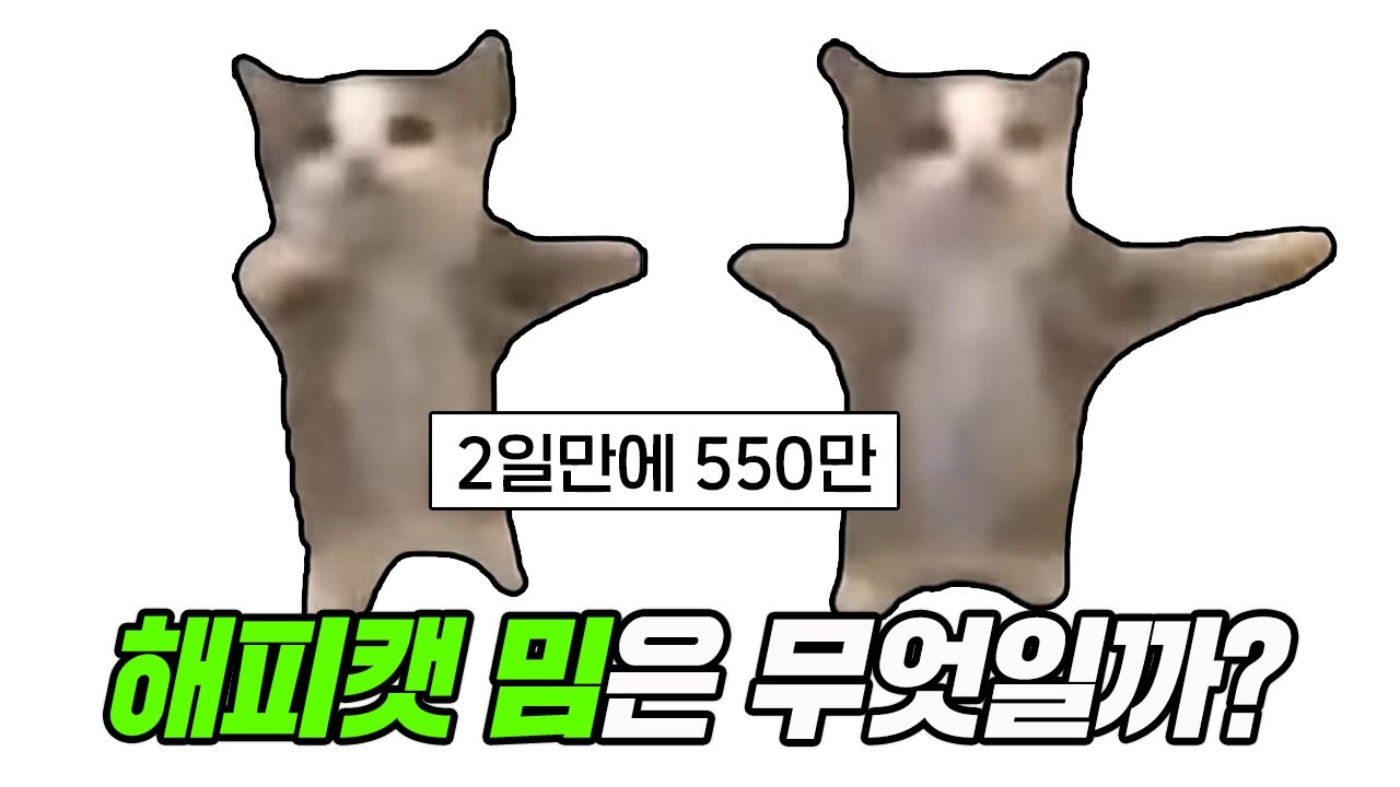해피캣 밈 1분만에 알려드림 Youtube