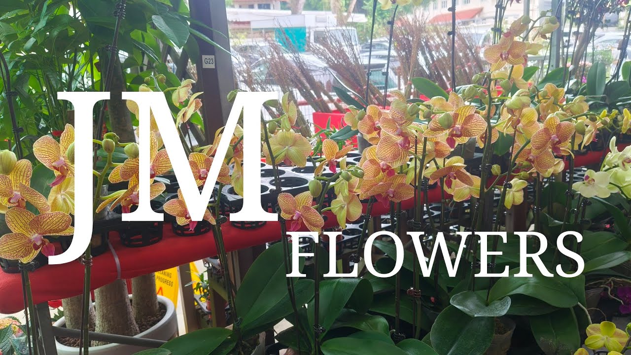 JM Flowers. Part 3 of 4. Walk Tour of Plants & Flowers at Thomson ...