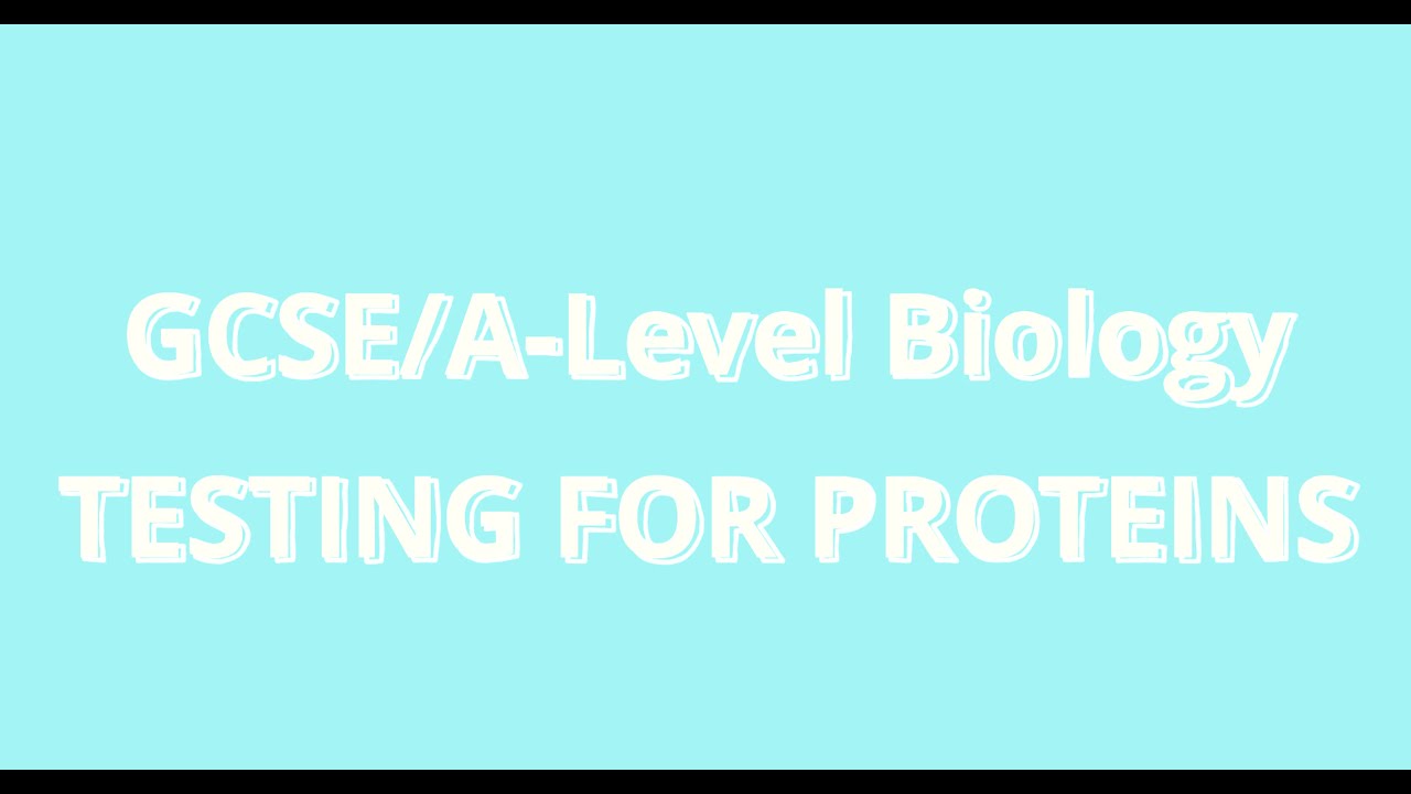 GCSE and A-Level Biology - Testing for Proteins - YouTube