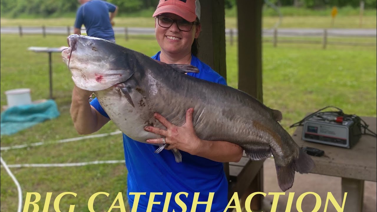 CATFISH (38 lb.)Caught on pole in Arkansas River.NON STOP ACTION! - YouTube