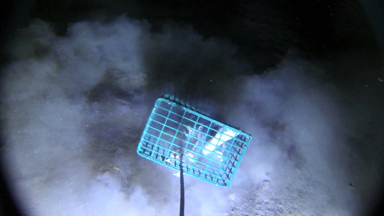 Deep Drop Camera 1 - YouTube