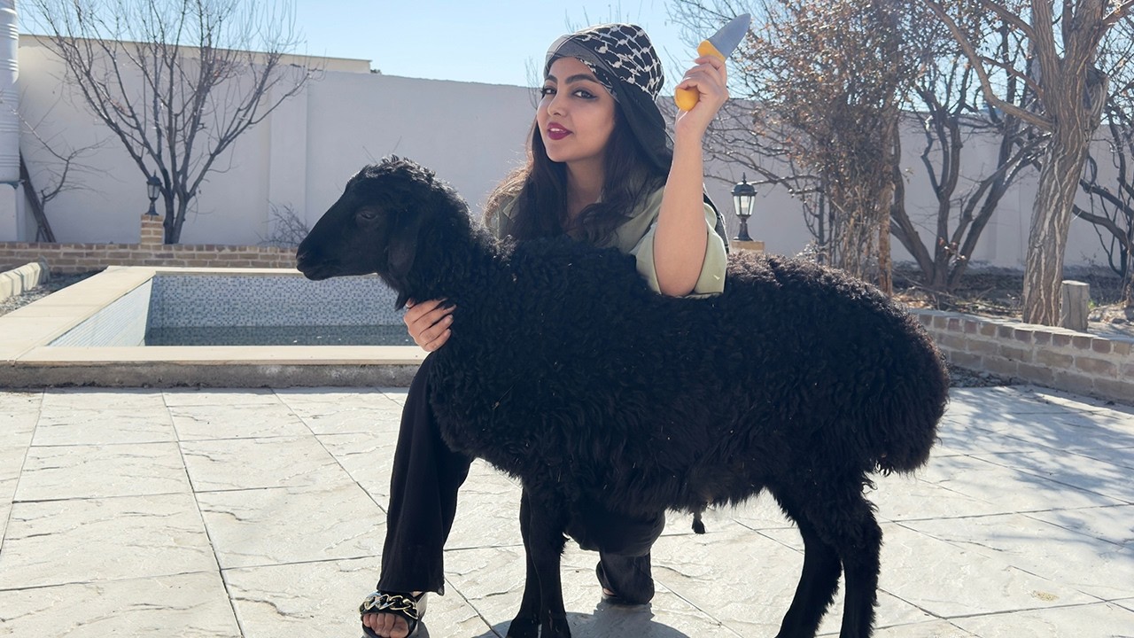 Sheep Slaughter and Fresh Lamb Meat Barbecue | Islamic Slaughter | Girl ...