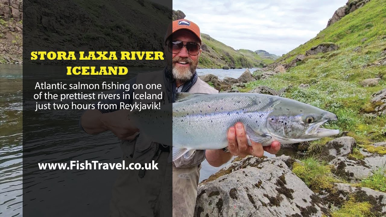 STORA LAXA RIVER SALMON FISHING, ICELAND. PRETTY & PRODUCTIVE RIVER ...