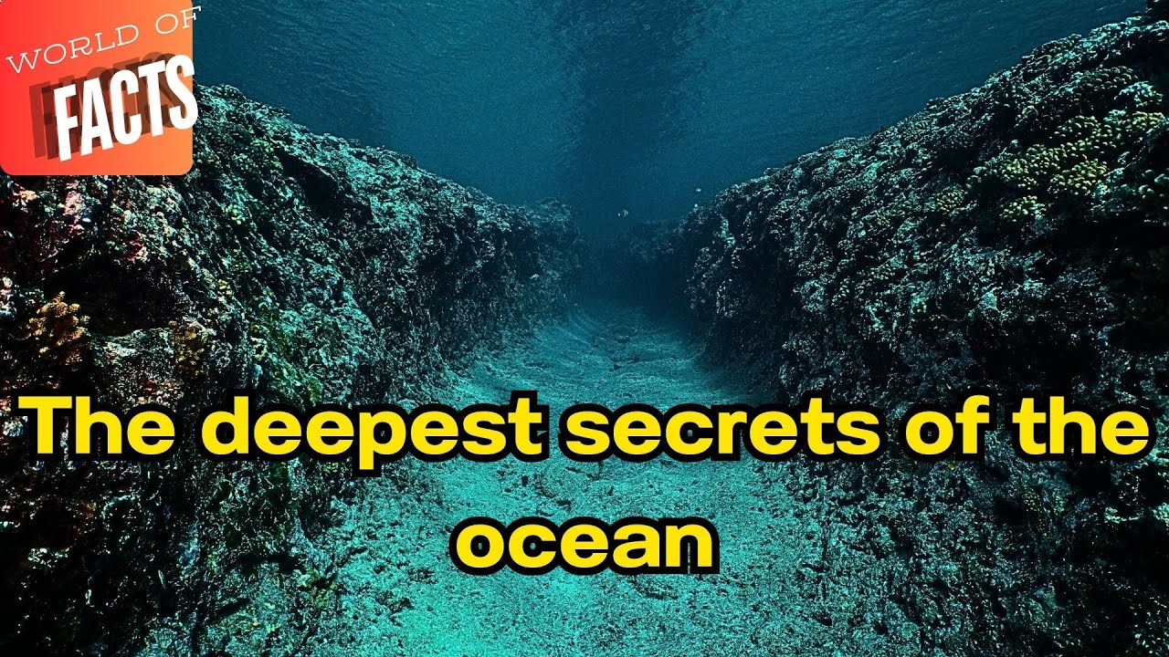 7 Mysterious Deep-Sea Creatures You Won't Believe Exist! - YouTube