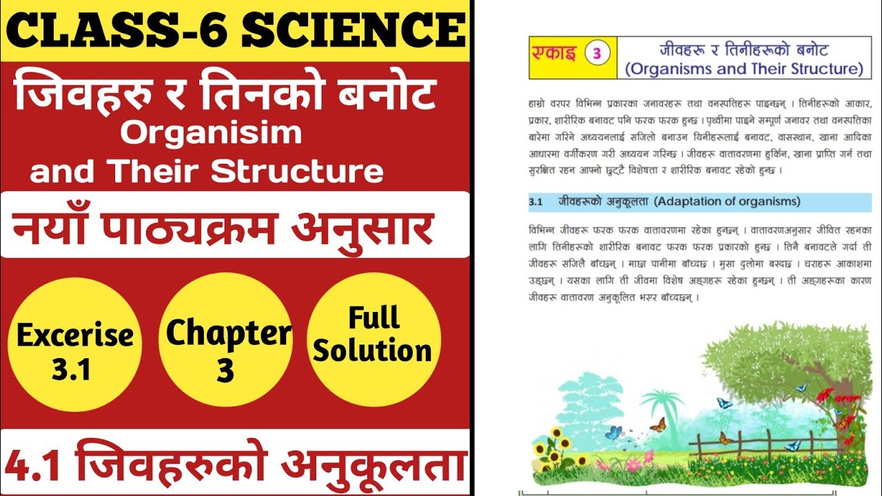 Class 6 Science Chapter 3 Organisim & Their Structure | 6.Science ...