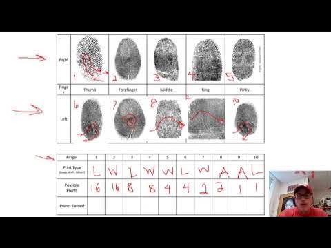 Henry Classification Tutorial - YouTube