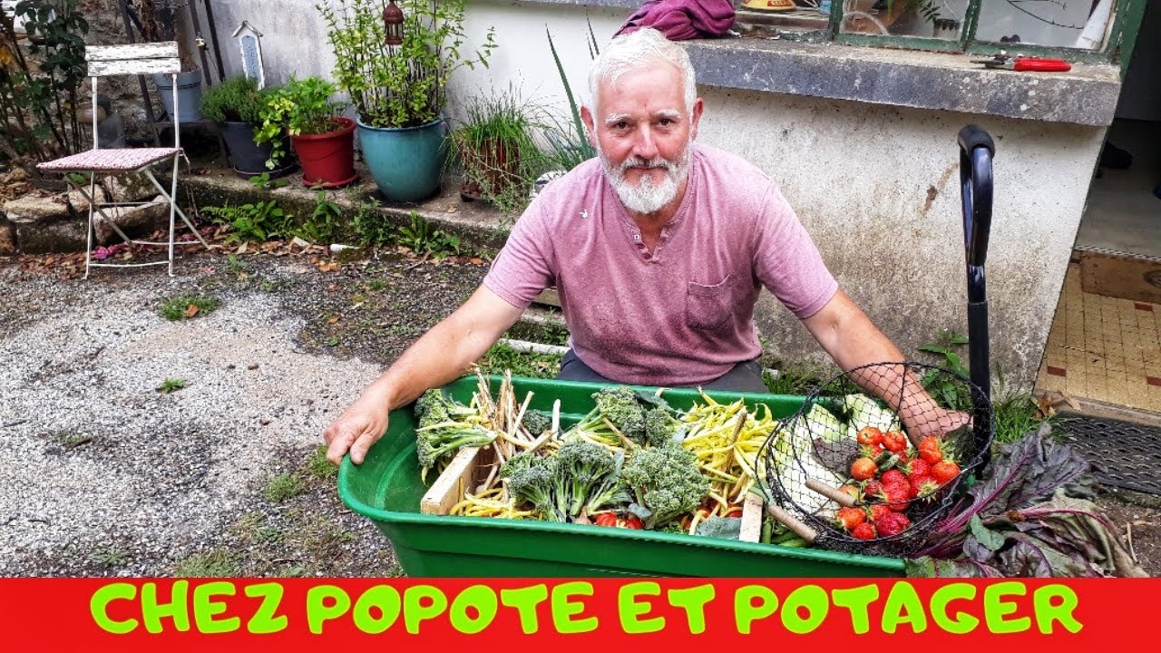 APRÈS LA PLUIE 🌧 LE TEMPS DES RÉCOLTES - YouTube