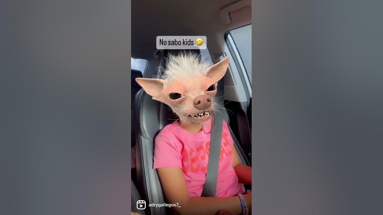 Humor No Sabo Kids YouTube humor-no-sabo-kids-youtube