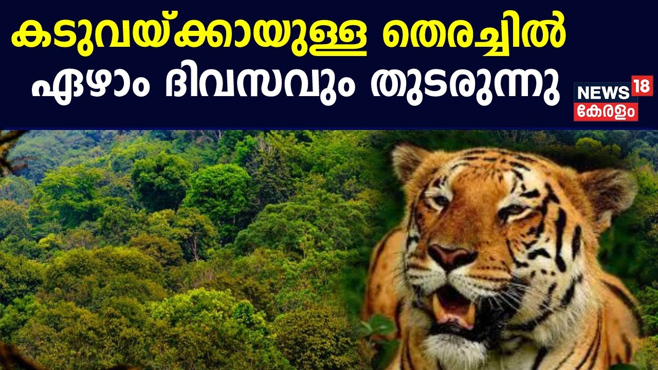 Wayanad Tiger Attack | വാകേരിയിൽ കടുവക്കായുള്ള തെരച്ചിൽ ഏഴാം ദിവസവും ...