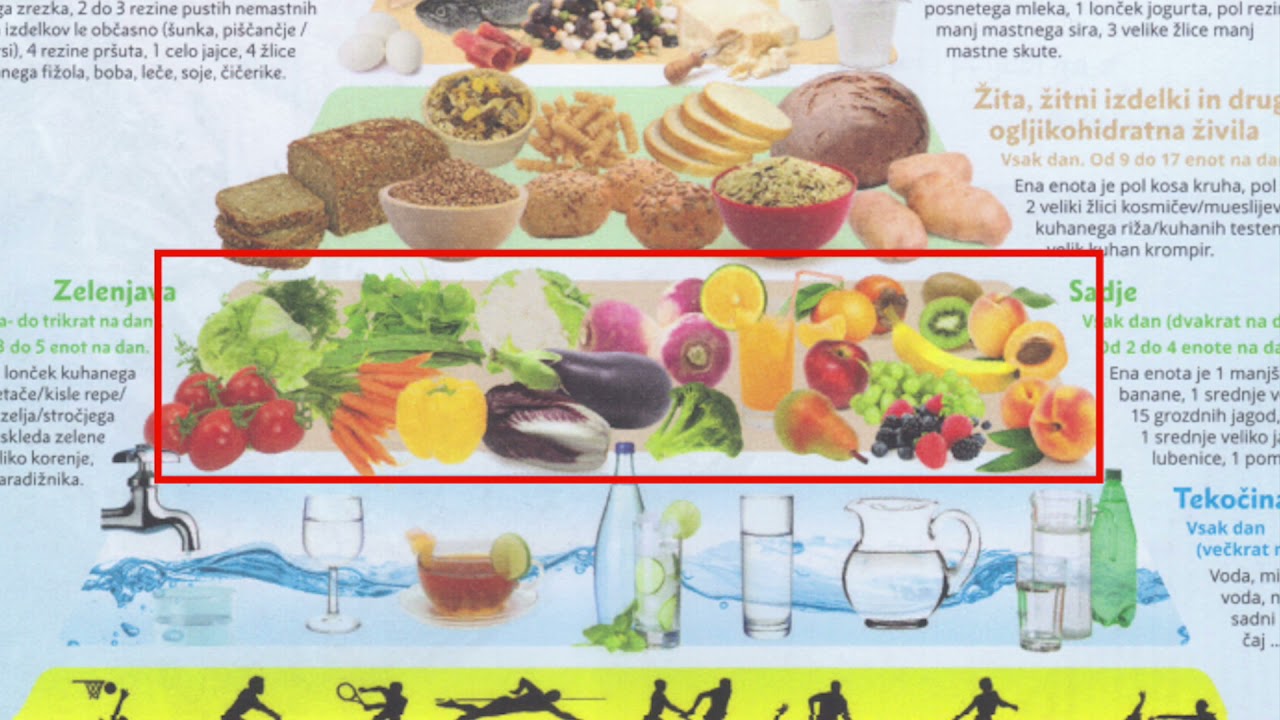 Prehrambena piramida - YouTube