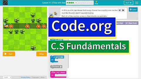 If / Else with Bee 2018 Version | CS Express Lesson 17 and Course D ...