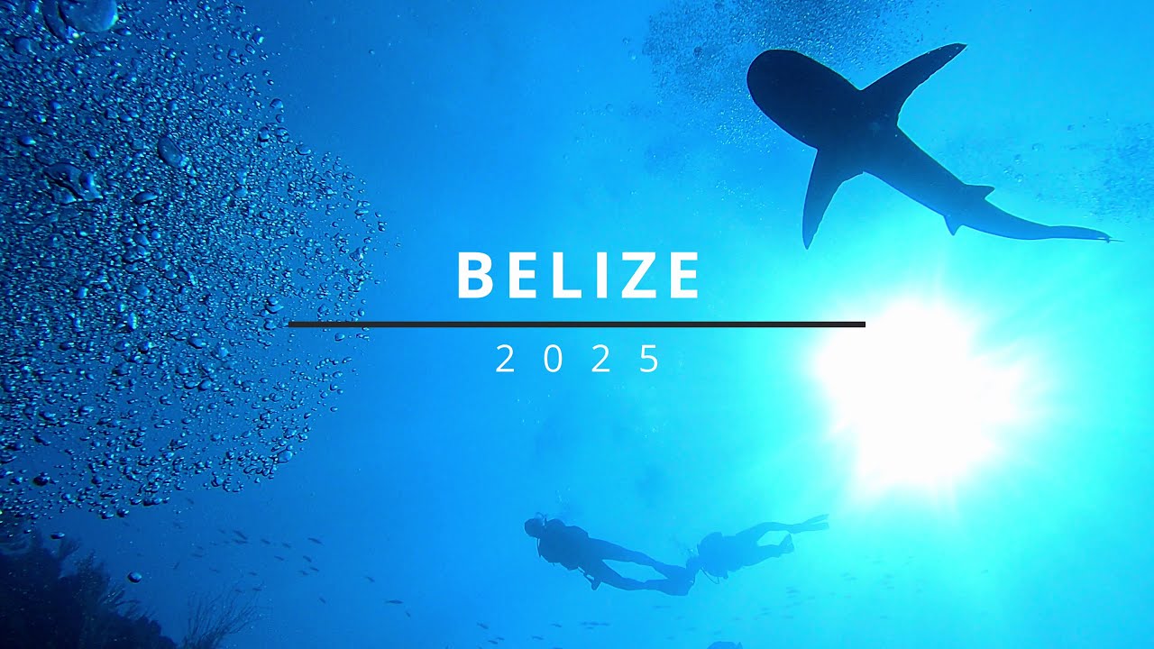 2025 - Belize #4k #scubadiving - YouTube