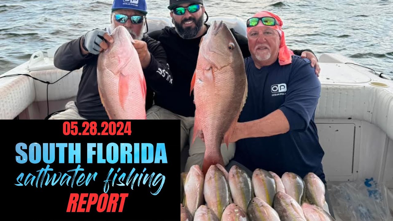 SOUTH FLORIDA SALTWATER FISHING REPORT (05/28/2024) - YouTube