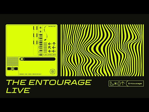 THE ENTOURAGE Live at Bad Bar Seattle! 🚨 - YouTube