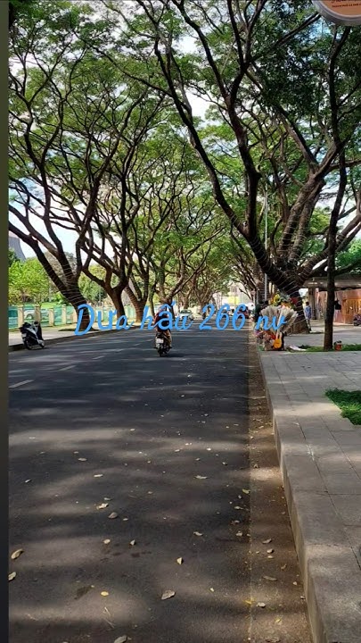 Thành Long 266 nv Gia Lai - YouTube