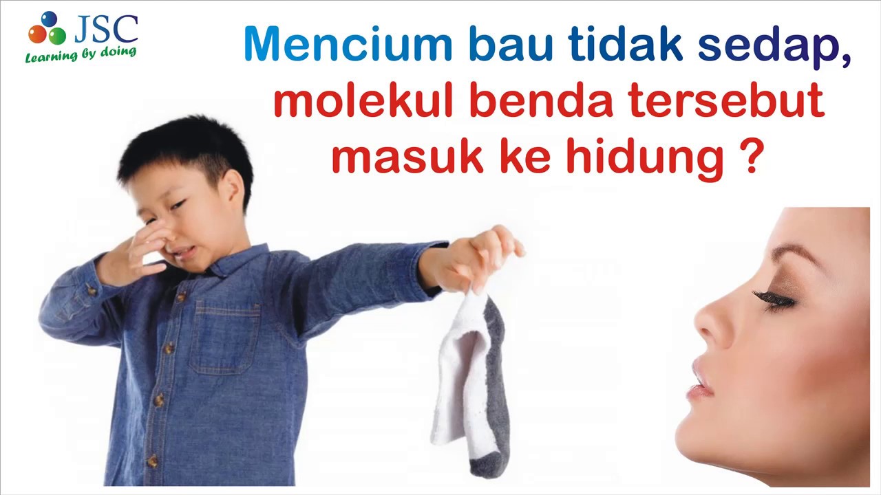 MENCIUM BAU TIDAK SEDAP , APAKAH MOLEKULNYA MASUK KE HIDUNG KITA ...