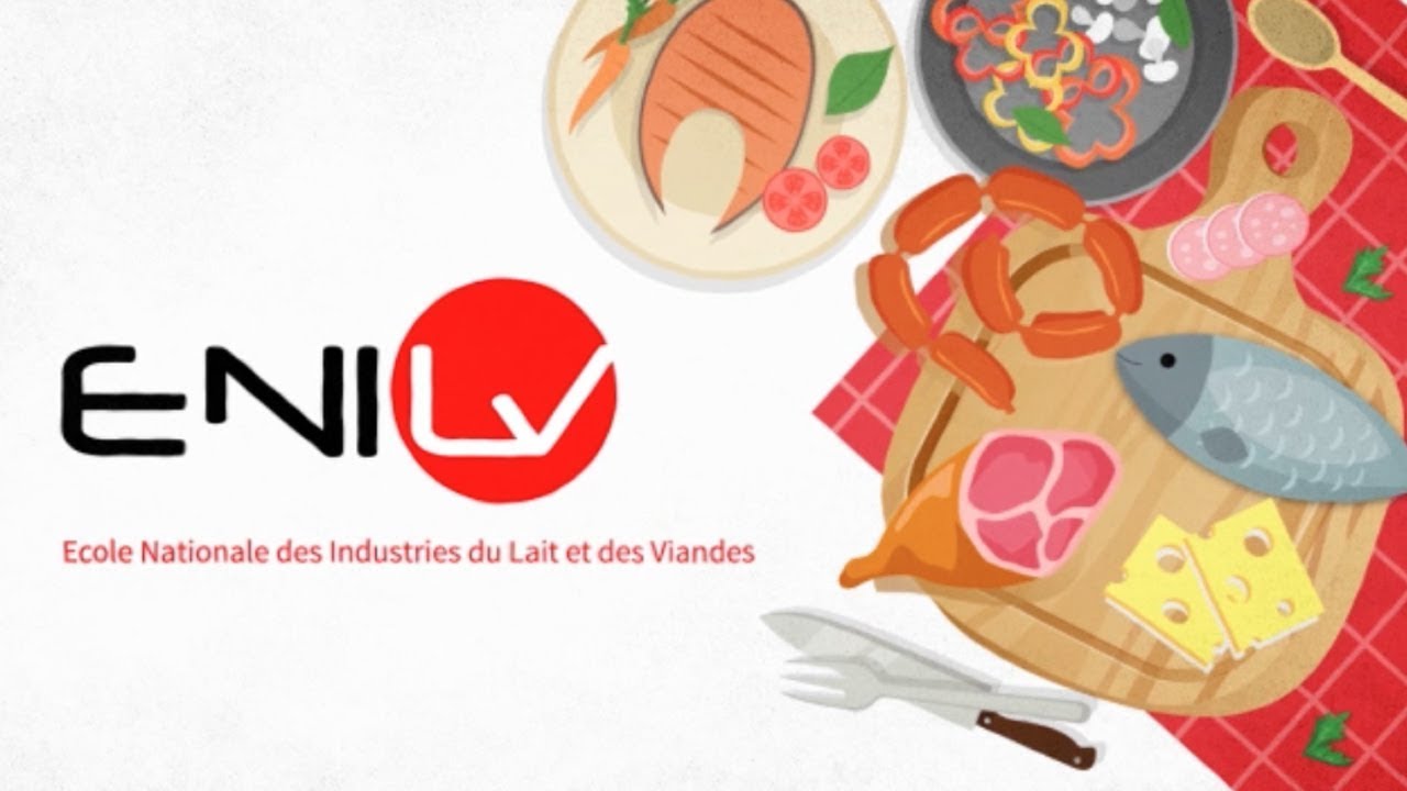 Animation explication TA ENILV - YouTube