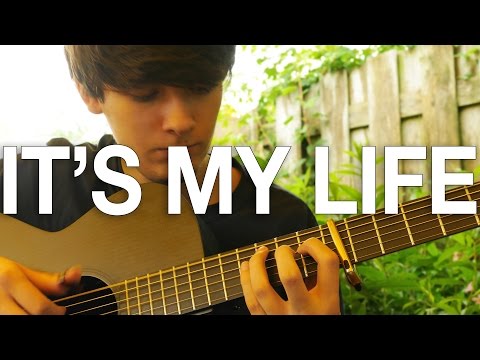 It's My Life - Bon Jovi - Fingerstyle Guitar Cover