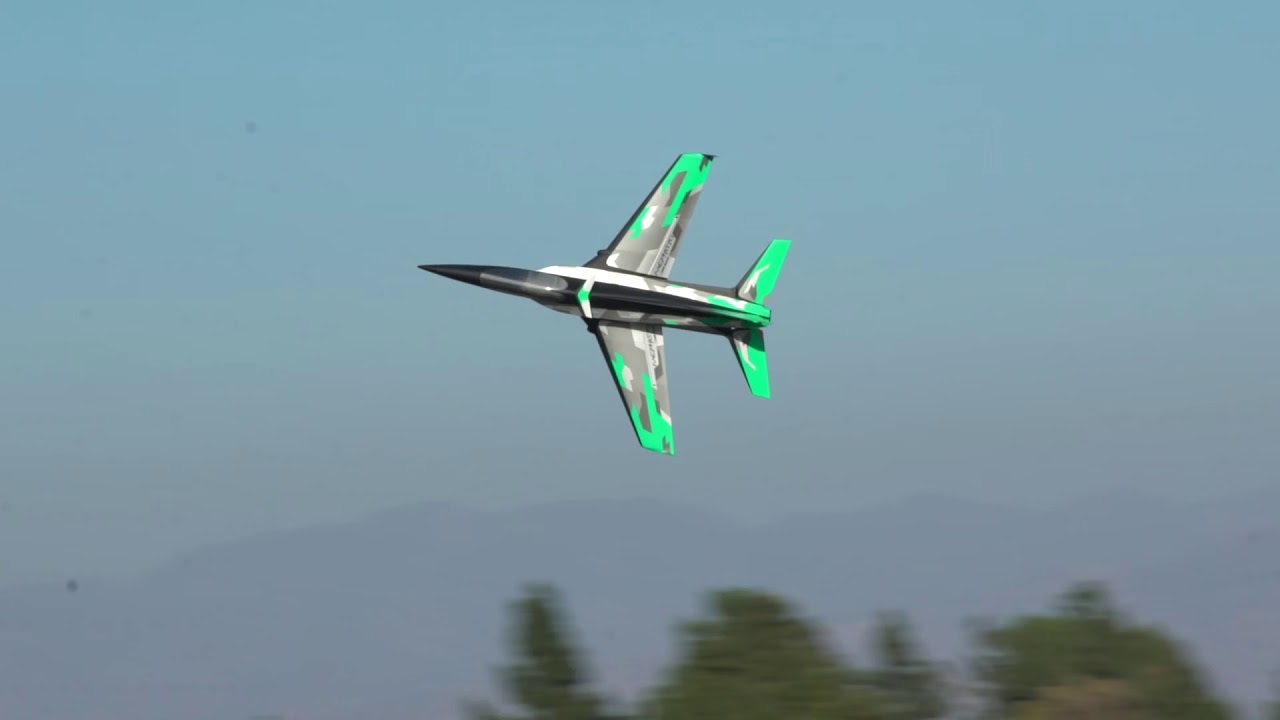 Elad fish - YouTube