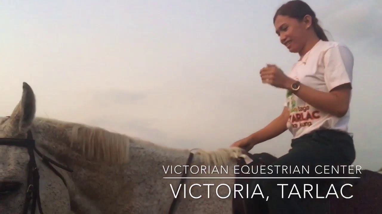 My horseback riding tutorial at Victorian Equestrian Center Victoria, Tarlac - YouTube
