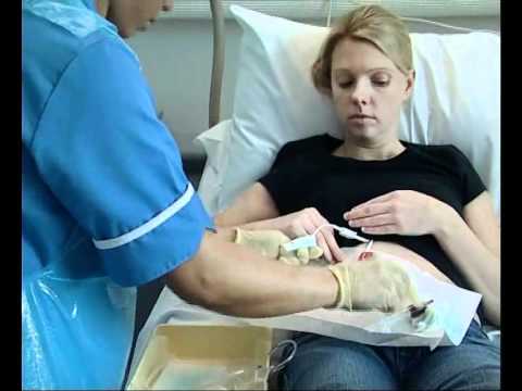 Graft versus Host Disease (2/3)
