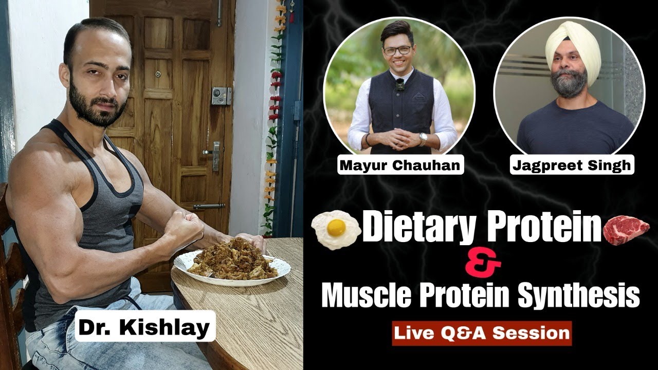 Protein : Digestion, Absorption, Assimilation & MUSCLE PROTEIN ...