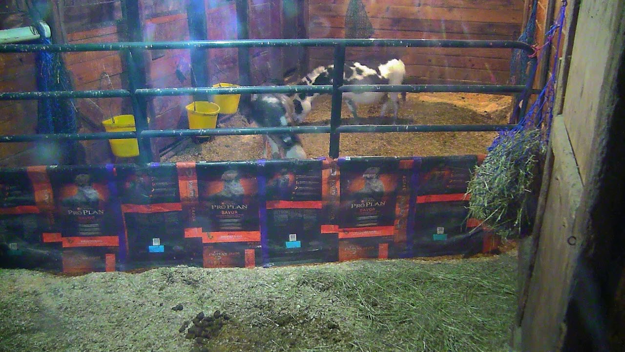 Donkey Barn 11-07-2018 00:35:41 - 01:35:39 - YouTube