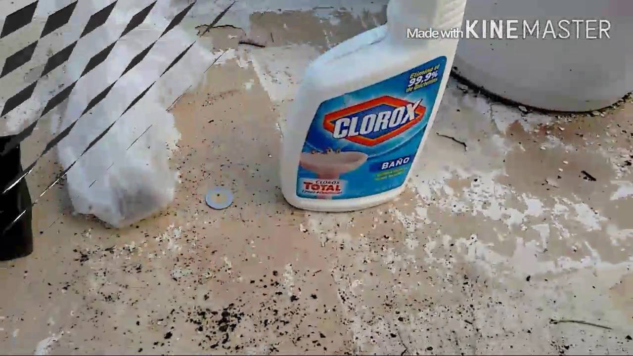 Tutoriales fails #2 como tener una planta de dinero!!! - YouTube