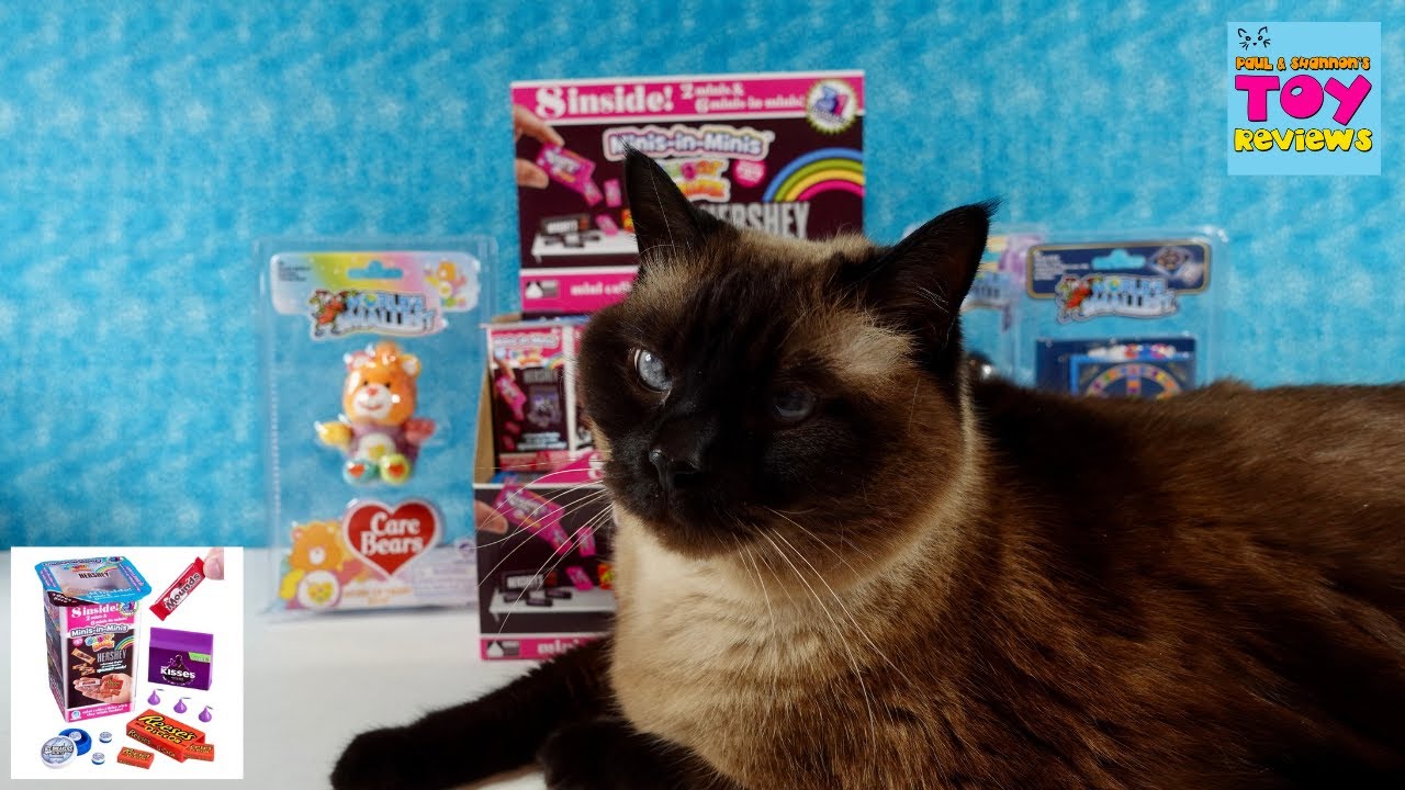 Minis In Minis World's Smallest Candy Collection Opening | PSToyReviews ...