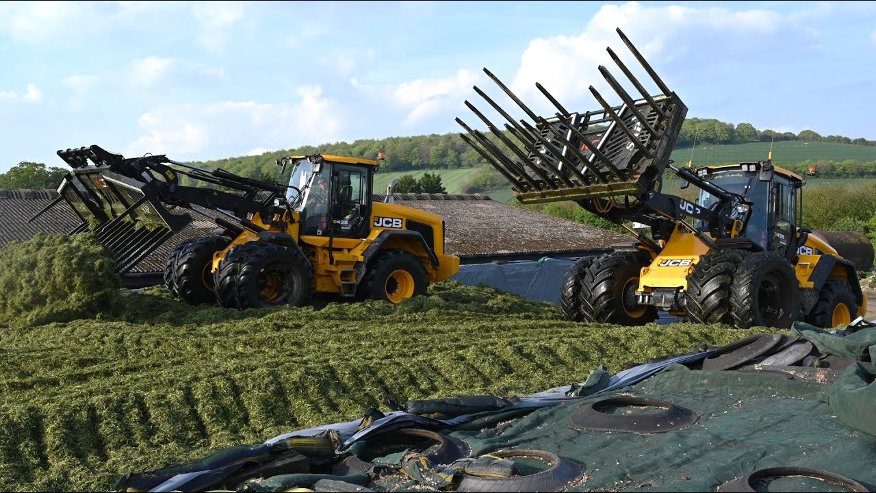 Silage 2024 - Buckraking on the Pit with TWO JCB 435S - YouTube