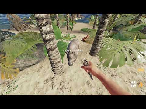 #Stranded Deep 2 2024 Parte #015 - YouTube