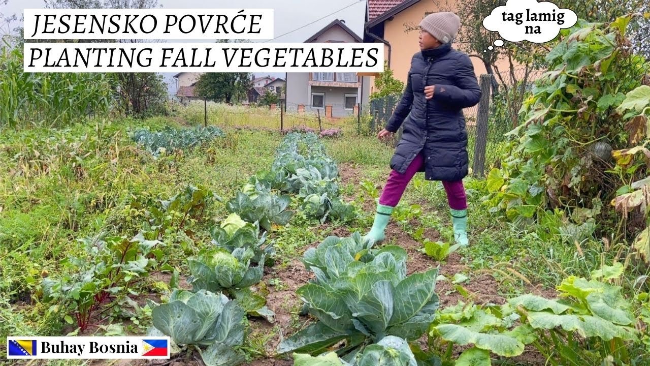 Posadimo jesensko povrće | Planting fall vegetables | Magtanim tayo ng ...