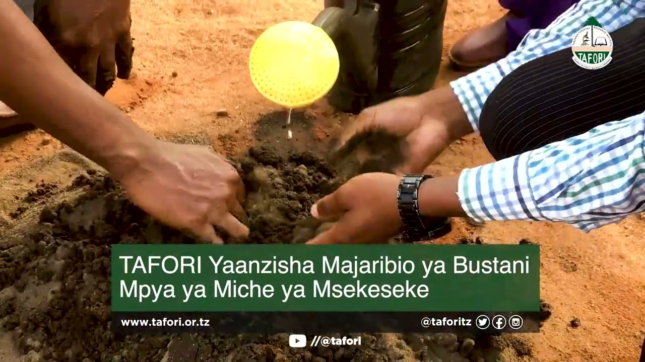 Tanzania Forestry Research Institute (TAFORI) – Tanzania Forestry ...