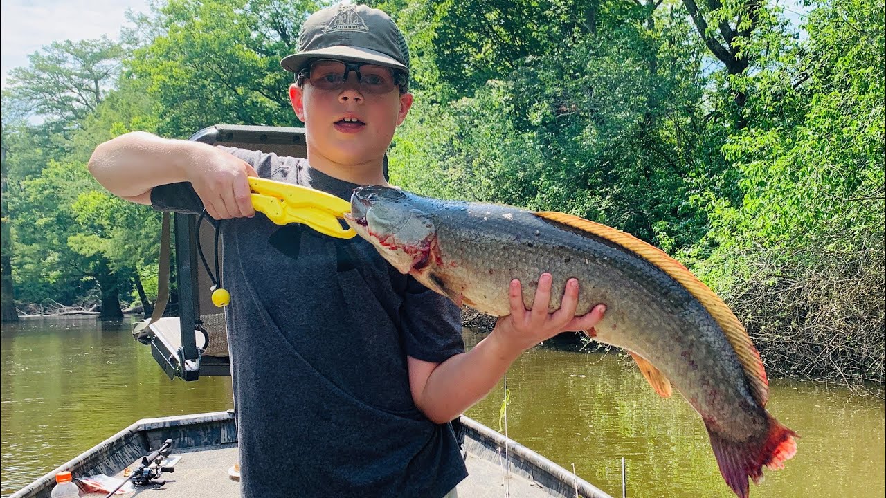 Catching GIANT Bowfin with Bass Lures - YouTube