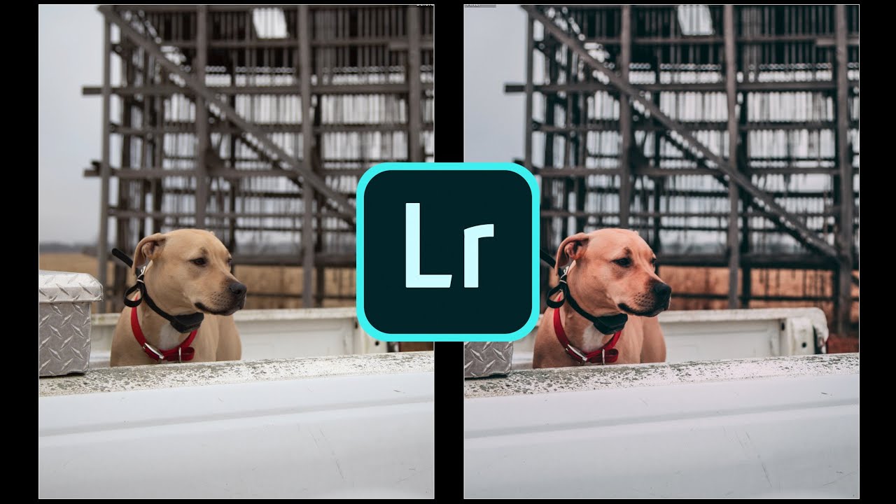 Lightroom Editing Basics!!! - YouTube