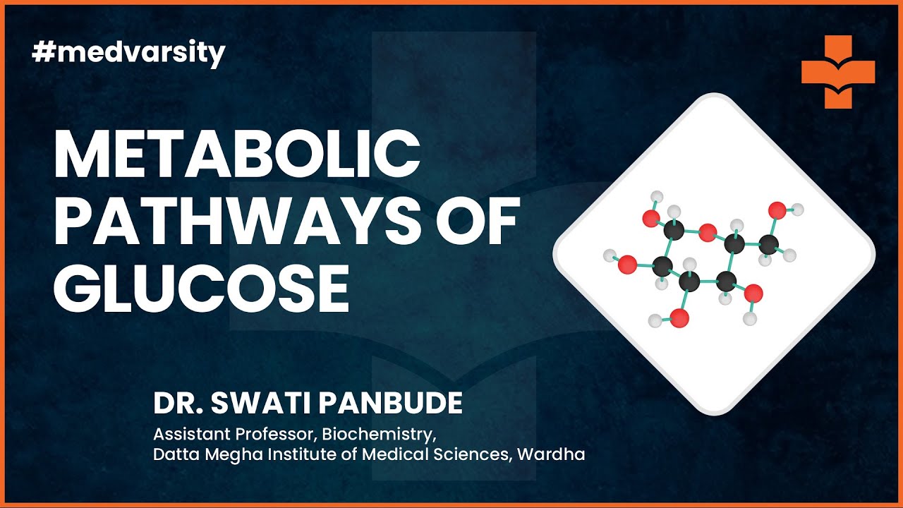 Case Discussion: Metabolic Pathways of Glucose | @MedvarsityOnlineLtd - YouTube