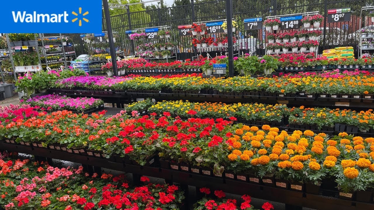 Shop with me at Walmart Garden Center for New Annual and Perennial ...