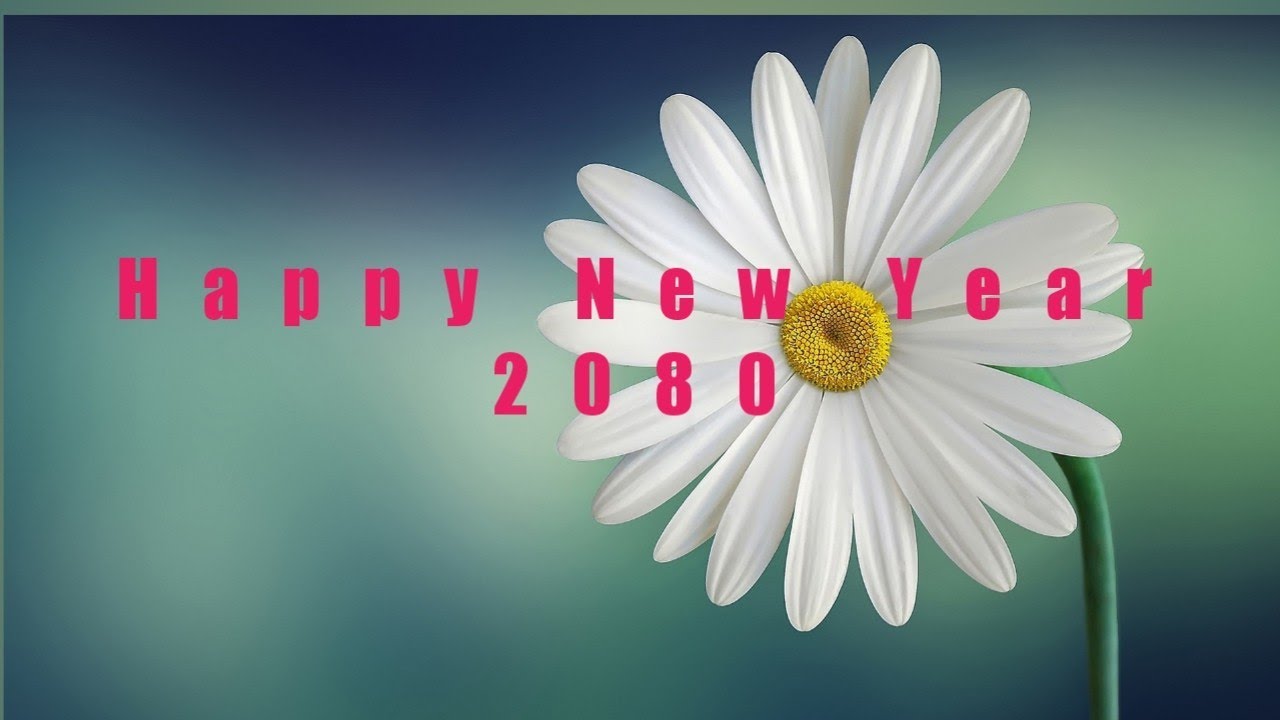 Happy New Year 2080#happynewyear2080 - YouTube